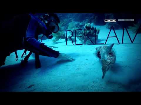 BeIN İZ-Reklam Jeneriği(2017-2021)