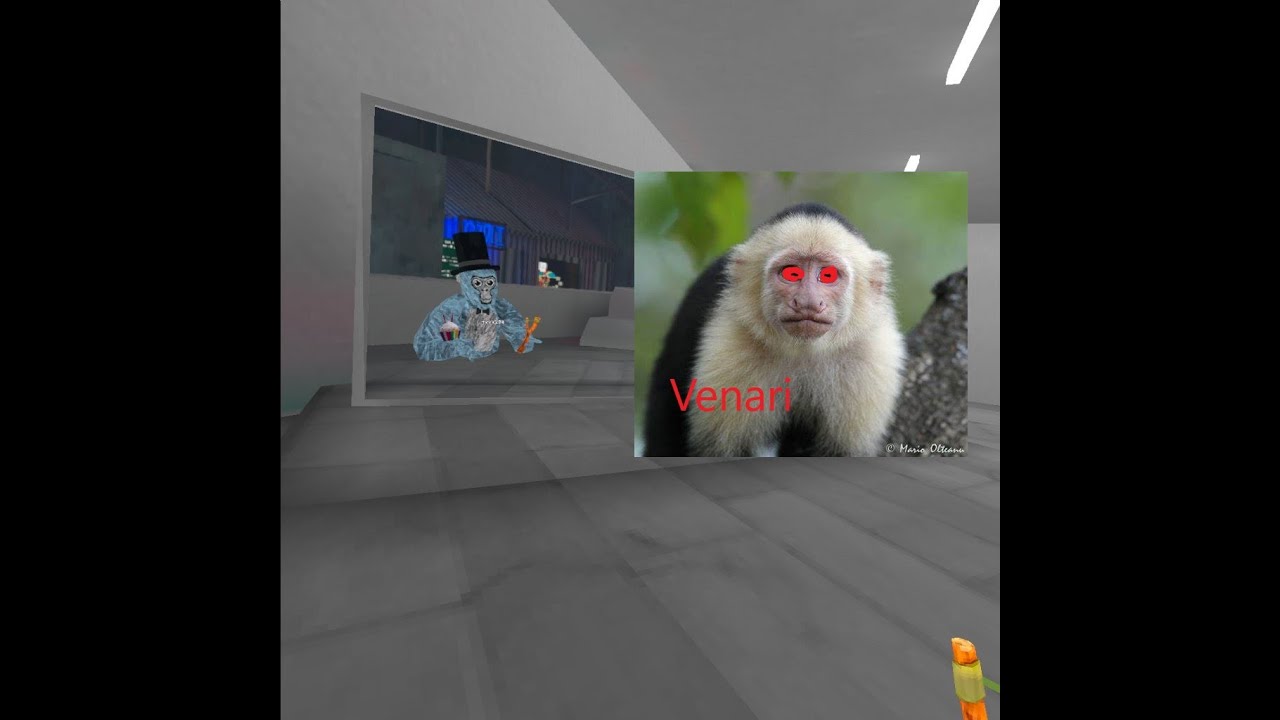 Finding Venari In Capuchin! - YouTube