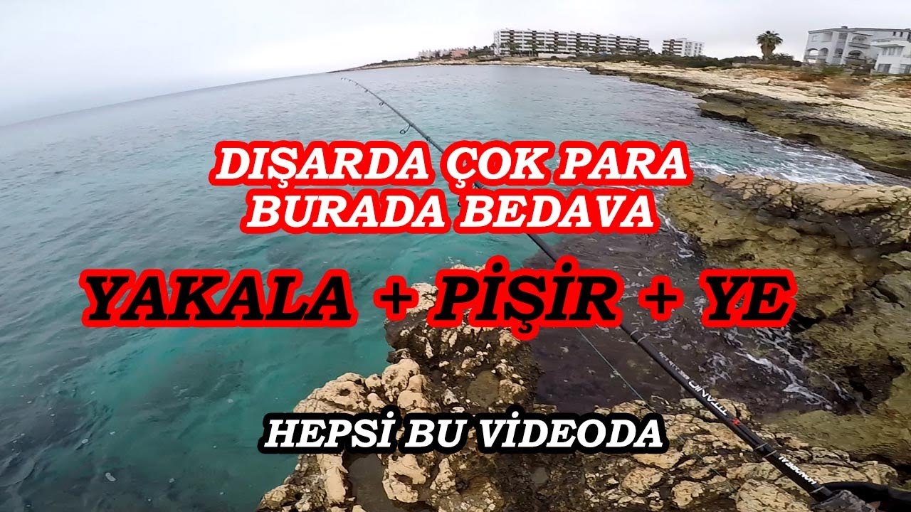 DIŞARDA ÇOK PARA, BURADA BEDAVA... YAKALA + TEMİZLE + PİŞİR + YE - YouTube
