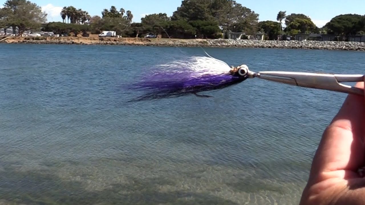 Flies for Fly Fishing Salt Water in San Diego Surf - YouTube