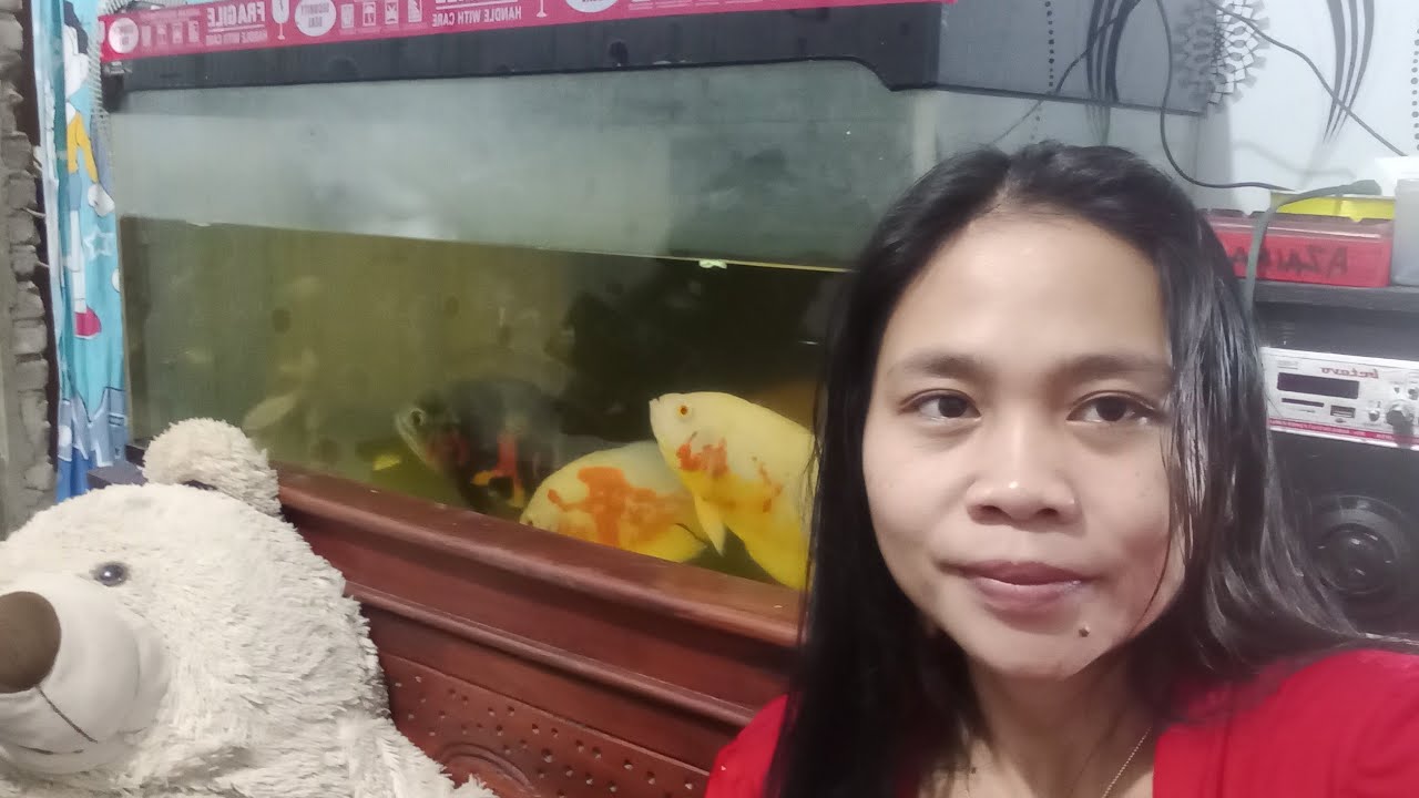 live bersama mama arka part 17 - YouTube