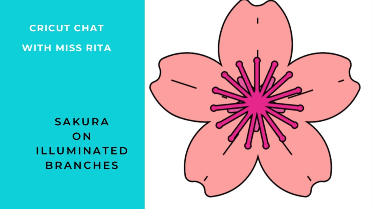 Paper Sakura (Japanese Cherry Blossoms) on Illuminated Branches - YouTube