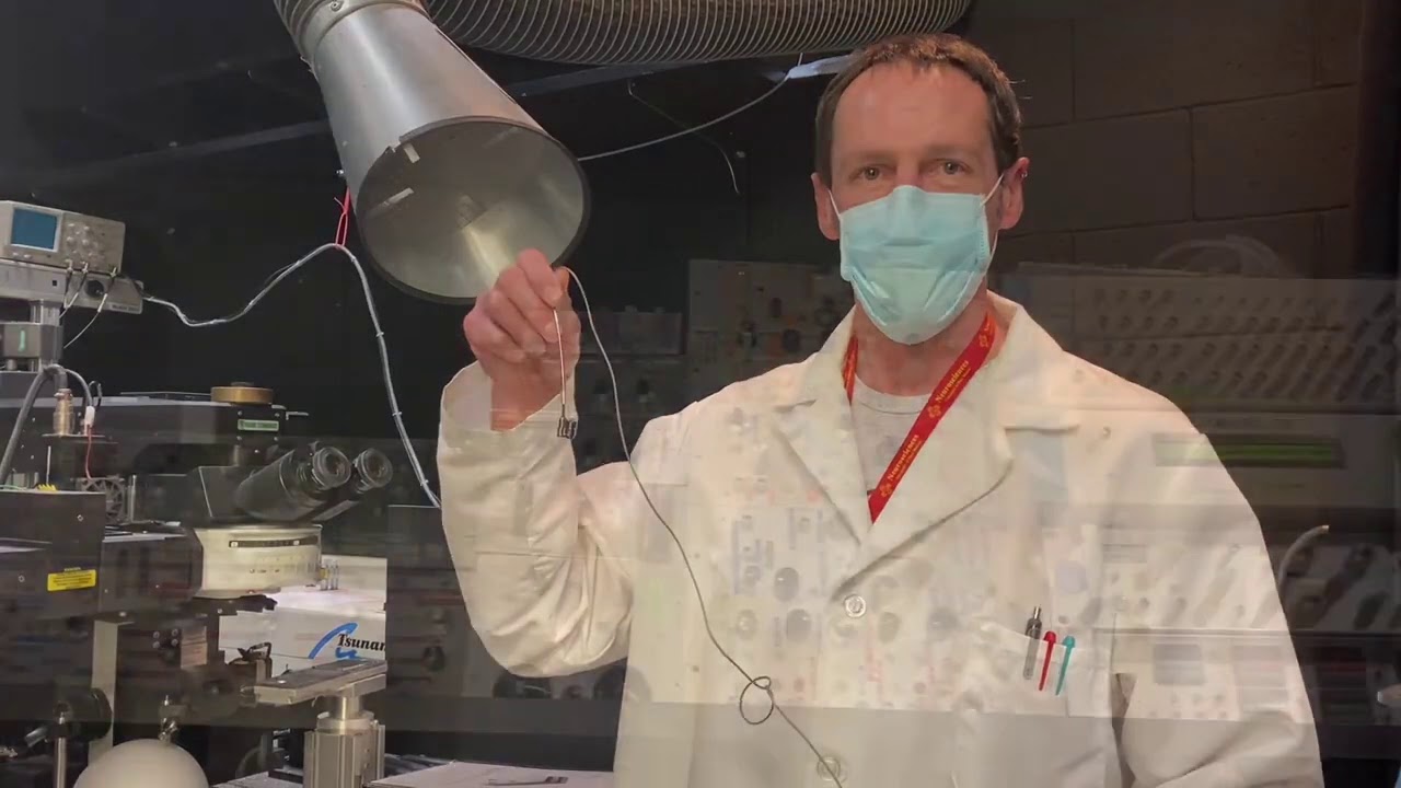 Virtual Tour of the Preclinical Core at UNM School of Medicine - YouTube