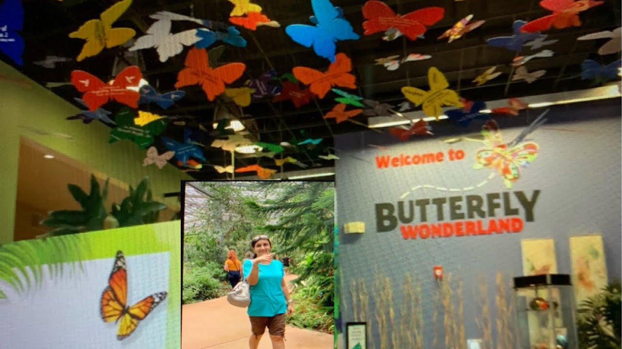 Butterfly Wonderland | Famous Place | Must Visit With Kid | Scottsdale ...