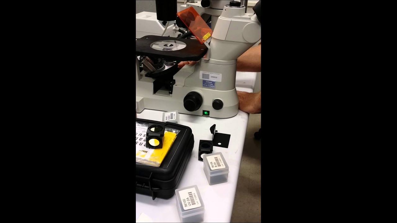 Nikon TS100F Microscope Instruction 1 - YouTube