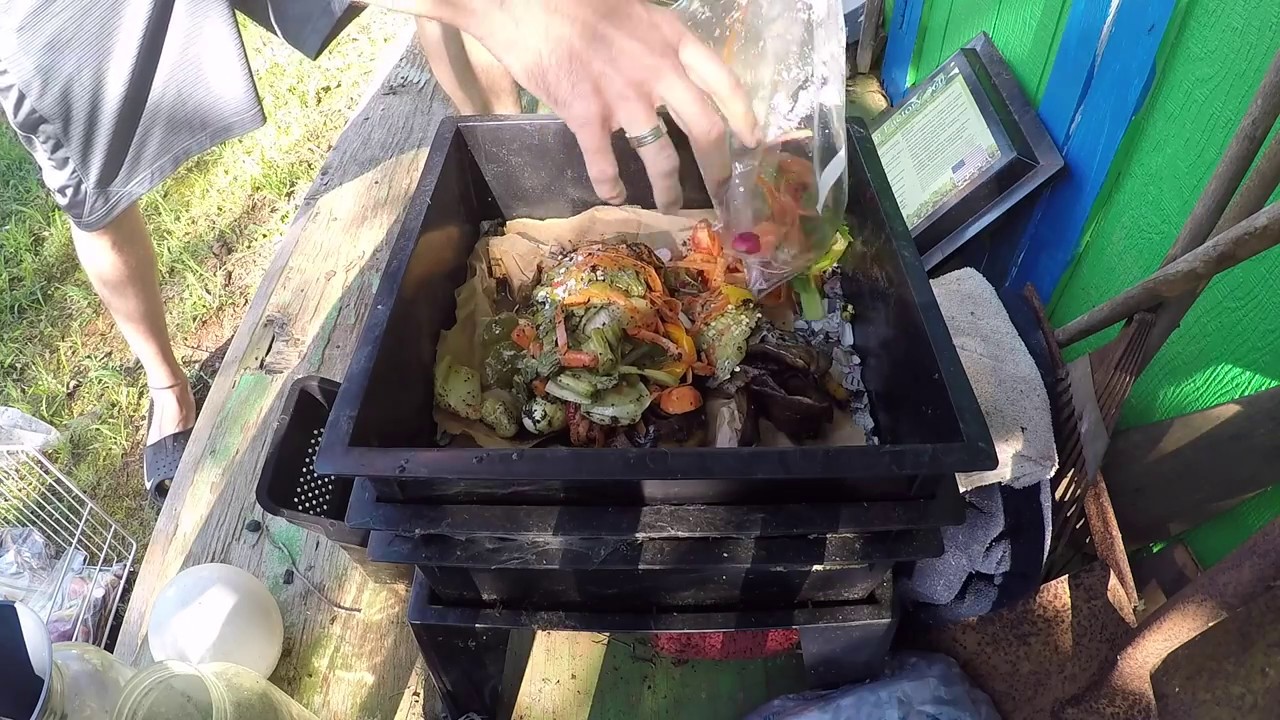 Worm Factory 360 and Uncle Jim's Worms - YouTube