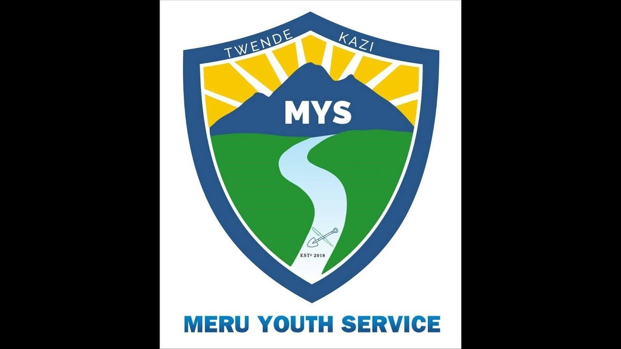 How the Meru Youth Service Program is addressing youth unemployment in ...