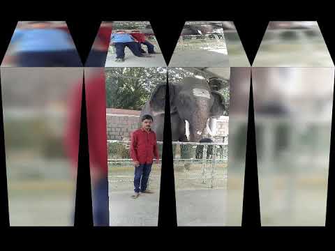 Muttu Raj...... - YouTube