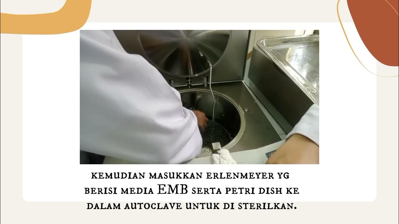 Tugas Bakteriologi Dasar ( Media Eosin Metilen Blue "EMB" Agar) - YouTube