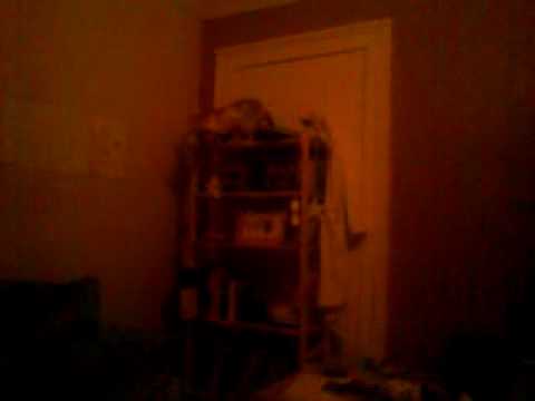 mango cat falling off shelf ( cat shelf fail ) - YouTube