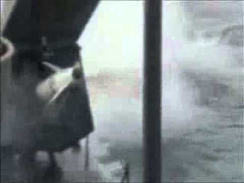 Royal Norwegian Navy - Penguin MK2 missile testfire - YouTube