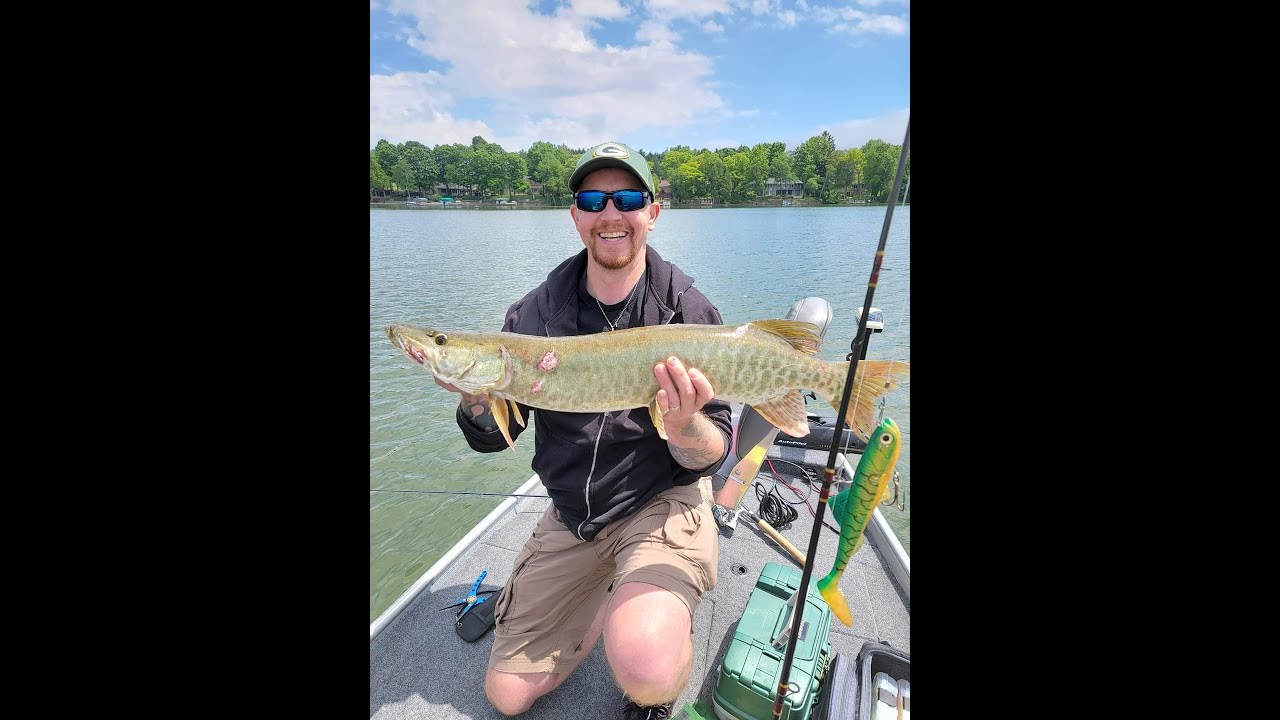 First muskie ever! ultralight tackle, Random Lake, Wisconsin - YouTube
