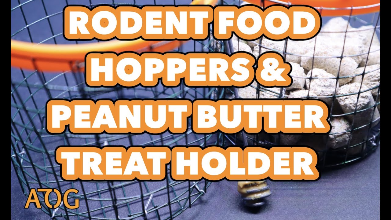 3D Printed Rodent Food Hoppers And Peanut Butter Feeder - YouTube