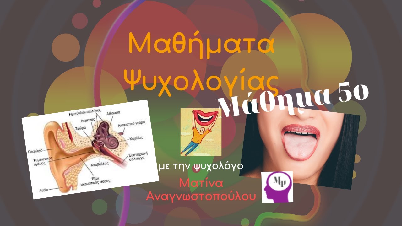 #5 Οι αισθήσεις μας | Μαθήματα Ψυχολογίας - YouTube