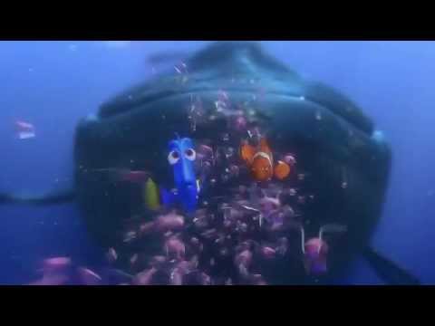 Buscando a Nemo 3D - Trailer Español - YouTube