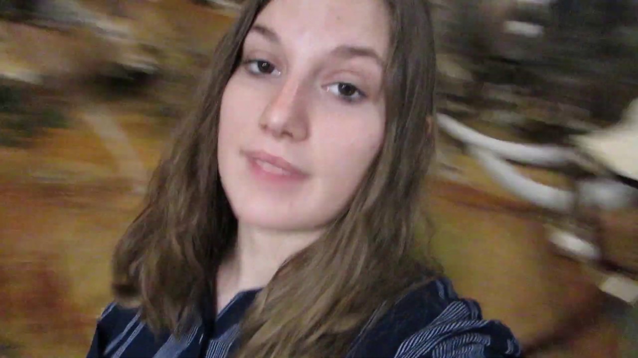 Tyson Steel Animal Museum (taxidermy) Doerun GA - YouTube