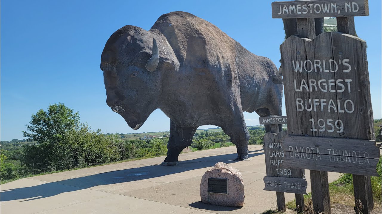 T07-015 World's Largest Buffalo - YouTube