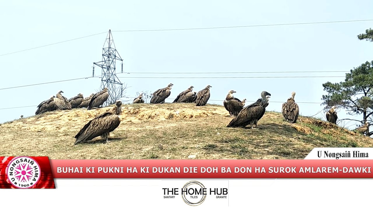 BUHAI KI PUKNI HA KI DUKAN DIE DOH BA DON HA SUROK AMLAREM-DAWKI - YouTube