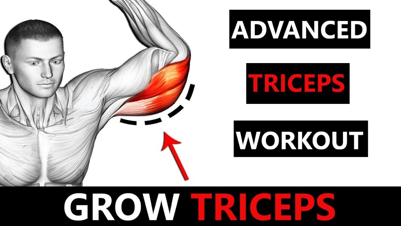 ADVANCED TRICEPS WORKOUT MUSCLE BUILDING WORKOUT CABLE TRICEP WORKOUT ...