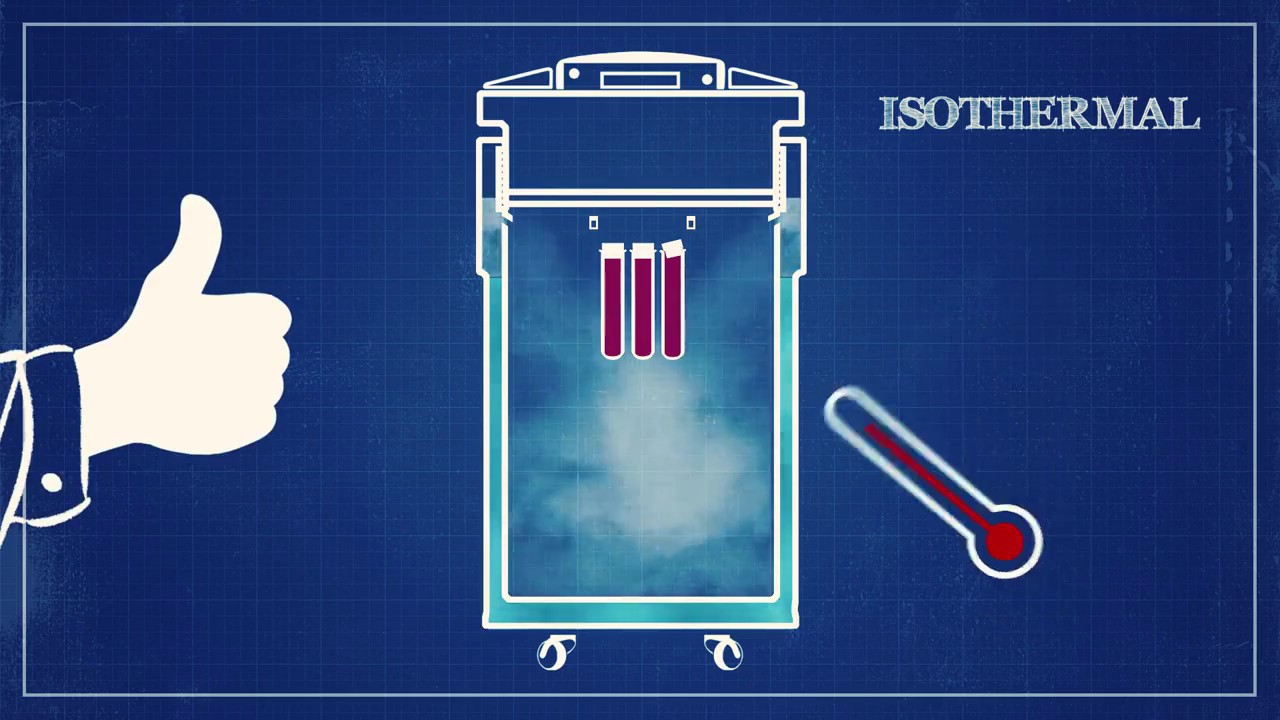 Drie manieren van cryogene opslag | CBS | Isothermal LN2 Opslagvaten ...