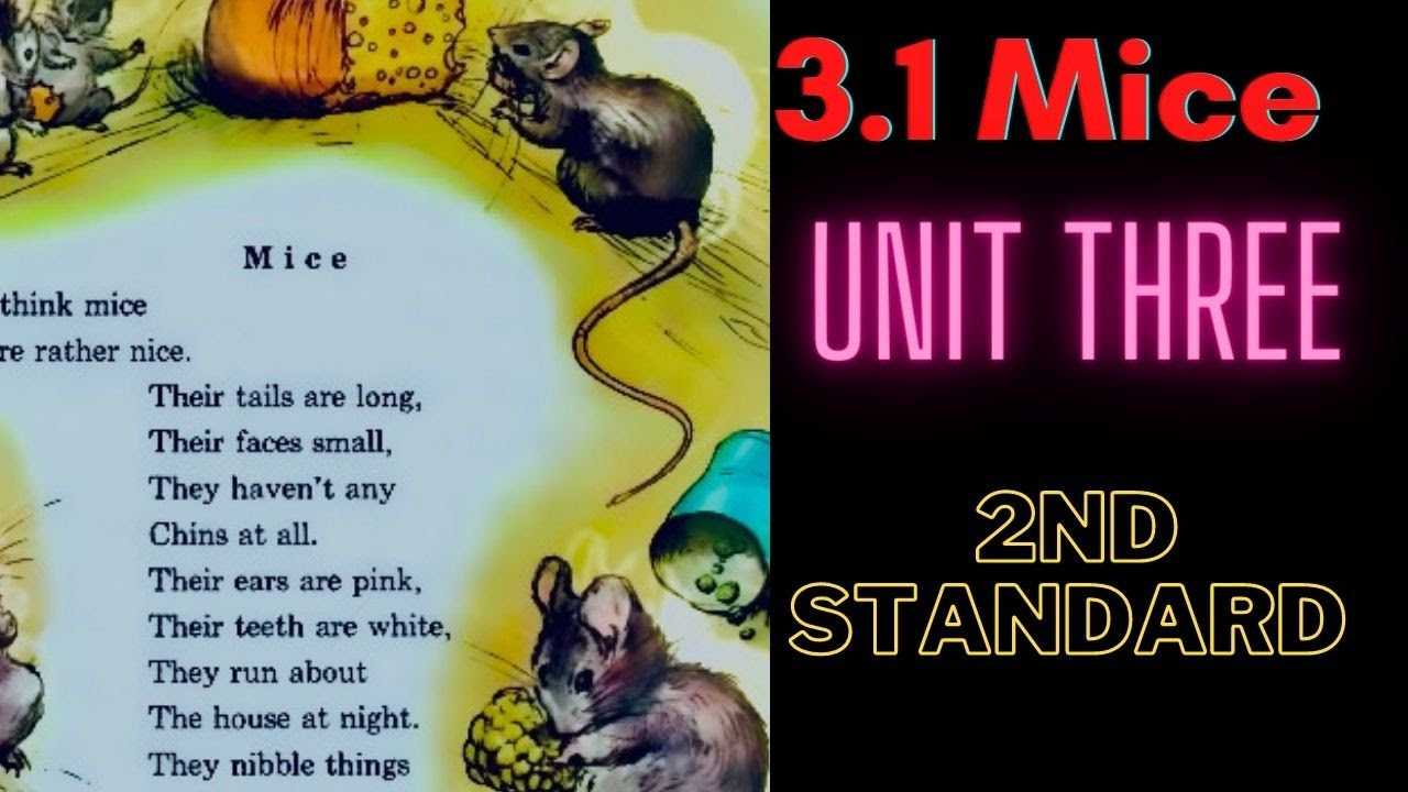 3.1 MICE poem unit three explanation in marathi | 2nd standard - YouTube