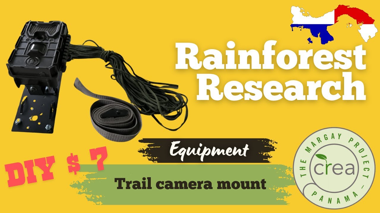 How to Make a DIY Trail Camera Mount for Under $7 (Easy & Affordable ...