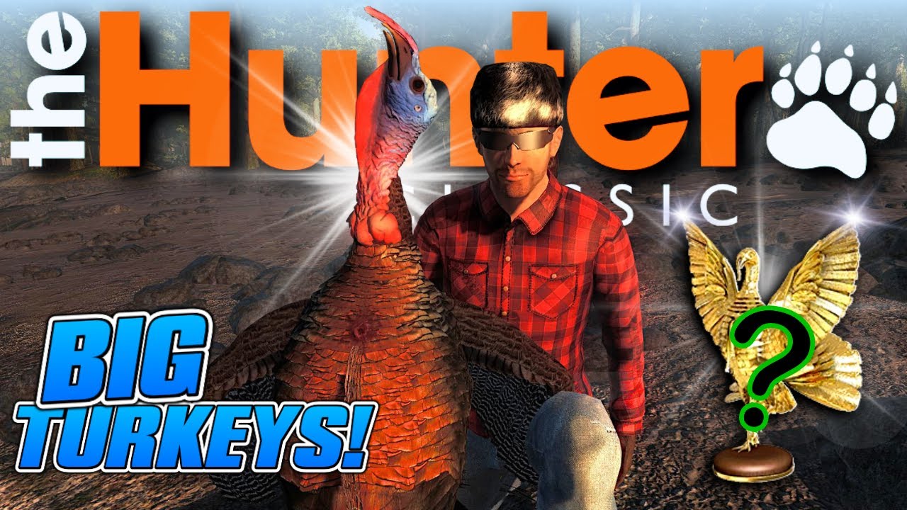 Competing in My First EVER Turkey Competition! (BIG Turkeys ...