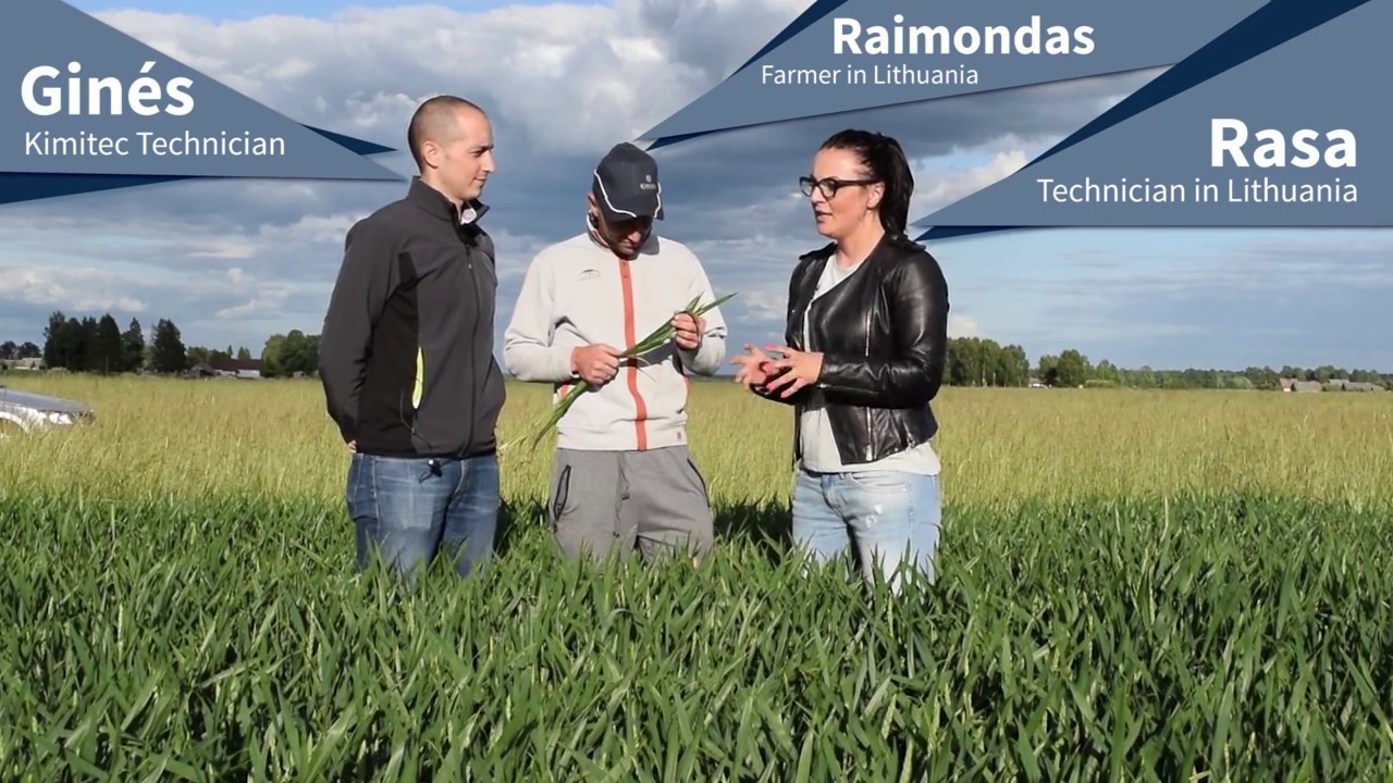 Bombardier Protein + Mycogel trial in wheat (Lithuania) | Kimitec | Agrocode - YouTube