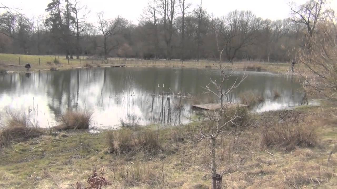 THORNHAM FISHERY, THORNHAM ESTATE, THORNHAM MAGNA, SUFFOLK - YouTube