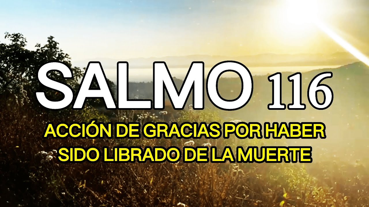 SALMO 116 [ MORENA VISION ] /MV ORACIONES - YouTube
