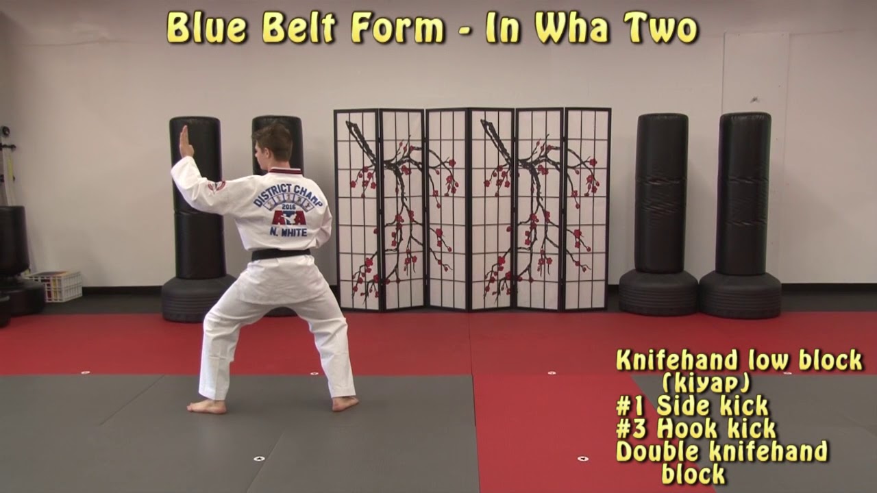 In Wha 2- Blue Belt Form - YouTube