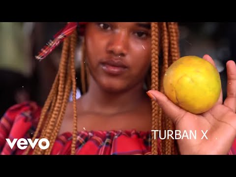 Turban X - The Gully To The Hills (Official Music Video)
