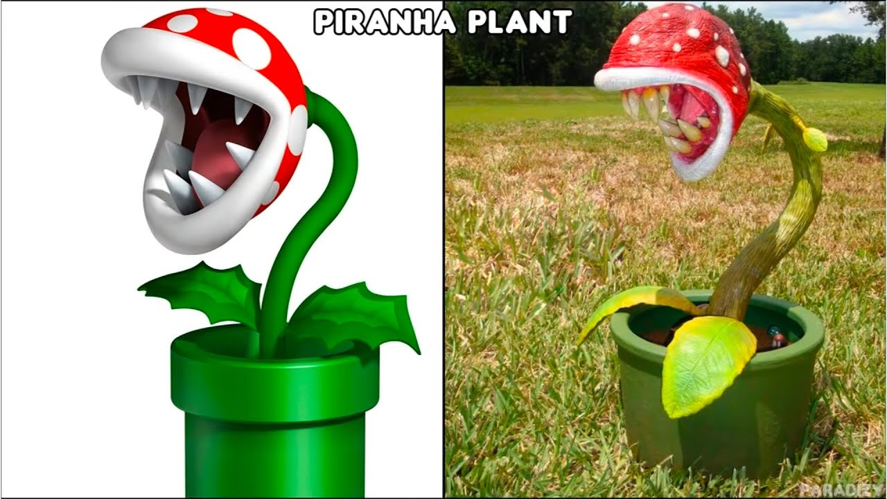 Super Mario Characters In Real Life - YouTube