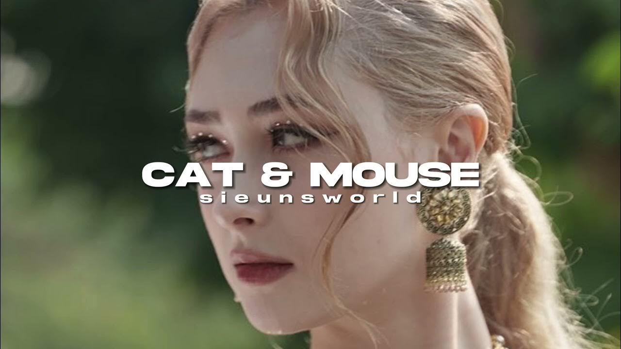 blackswan - cat & mouse (sped up) - YouTube