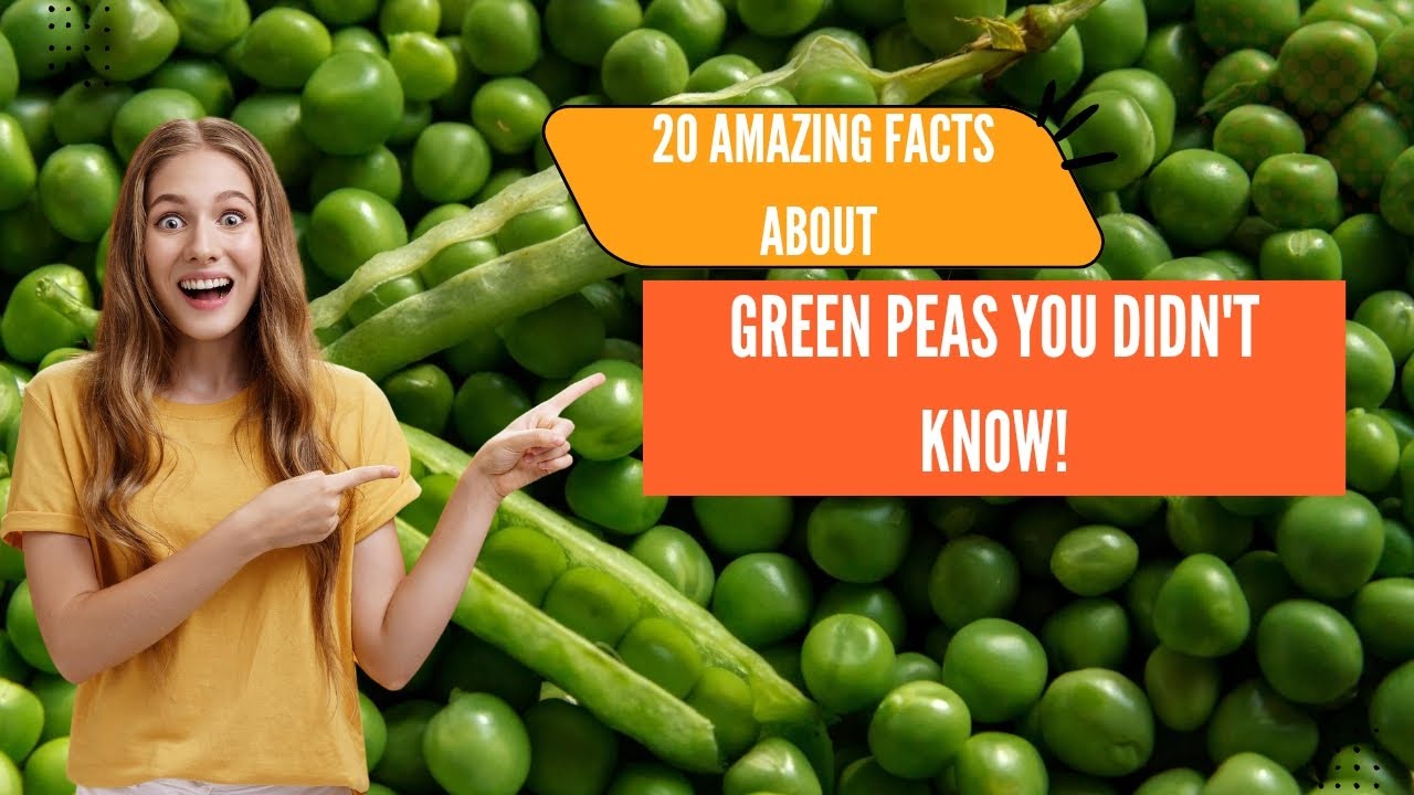 20 Amazing Facts About Green Peas You Didn't Know! | #health #facts # ...