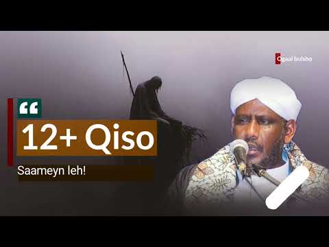 12+ Qisas Ku Cibro Qaadasho Mudan || Sheekh Saalax Macalim ##Shsaalaxmacalim 