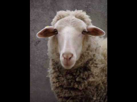 Dj Rom vs Bugelli-Country 2009 - Pegra.wmv