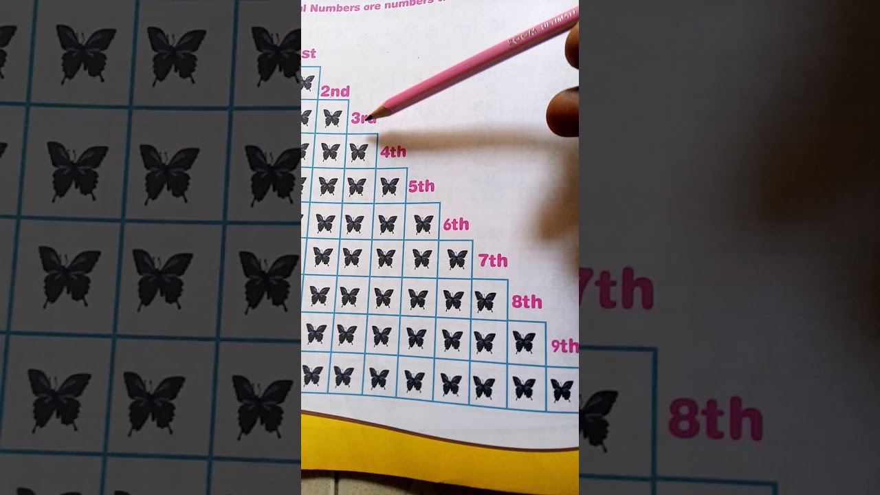 grade-one-maths-with-mr-bright-youtube