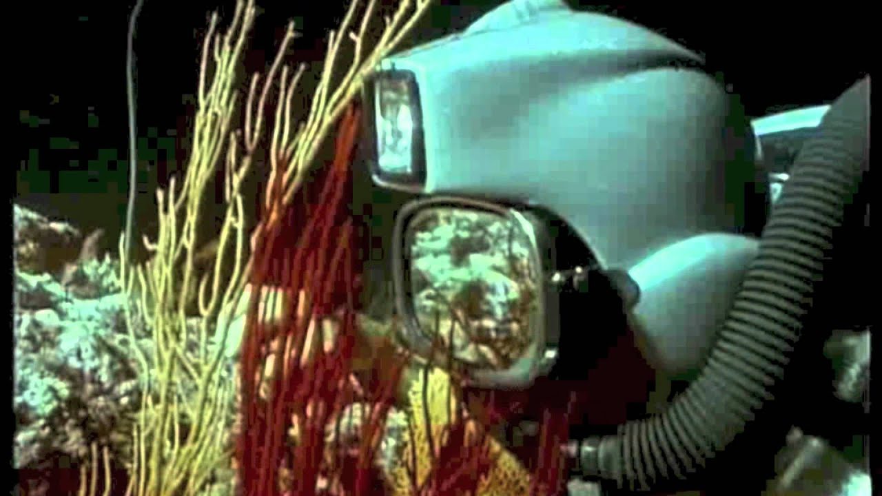 Pierre Yves Cousteau, IUCN Goodwill Ambassador - YouTube