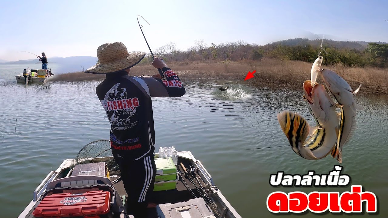 ล่า! ปลากินเนื้อดอยเต่า 😱 Ab-Fishing - YouTube