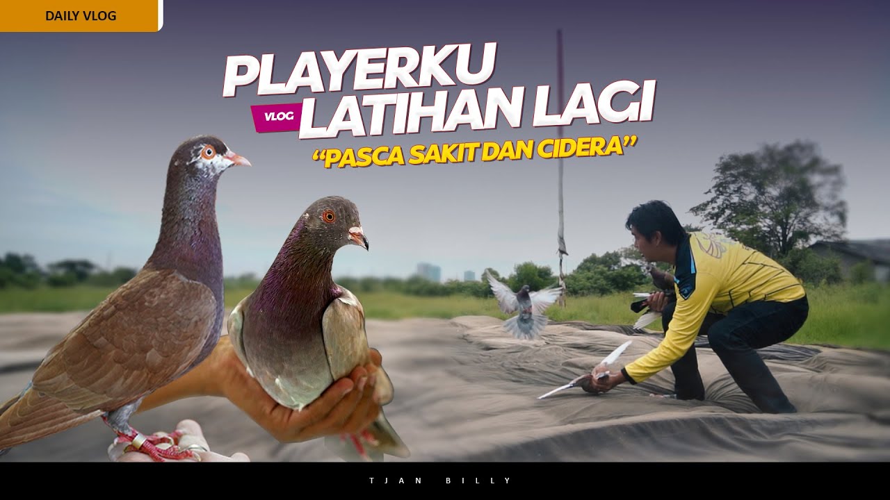 PROSES LATIHAN KEMBALI MERPATI ELITE TEAM PASCA CIDERA DAN SAKIT - YouTube