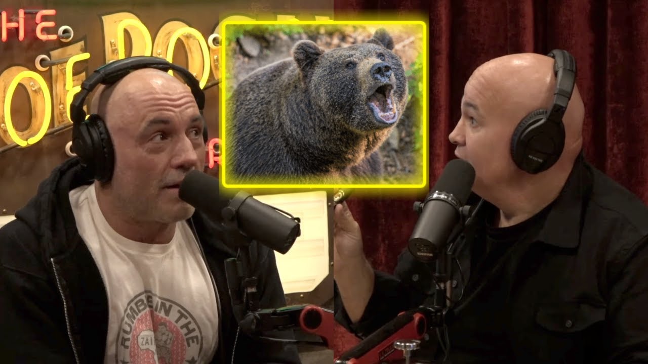Joe Rogan: I would SHOOT a bear in the face 100%!! | Reacts to footage ...