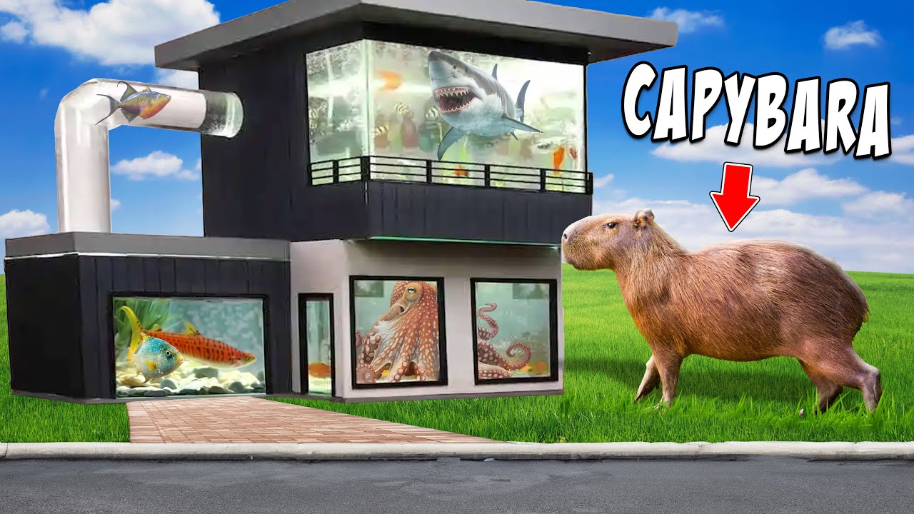 Taking Capybara Swimming In A 5000g Koi Pond! - YouTube