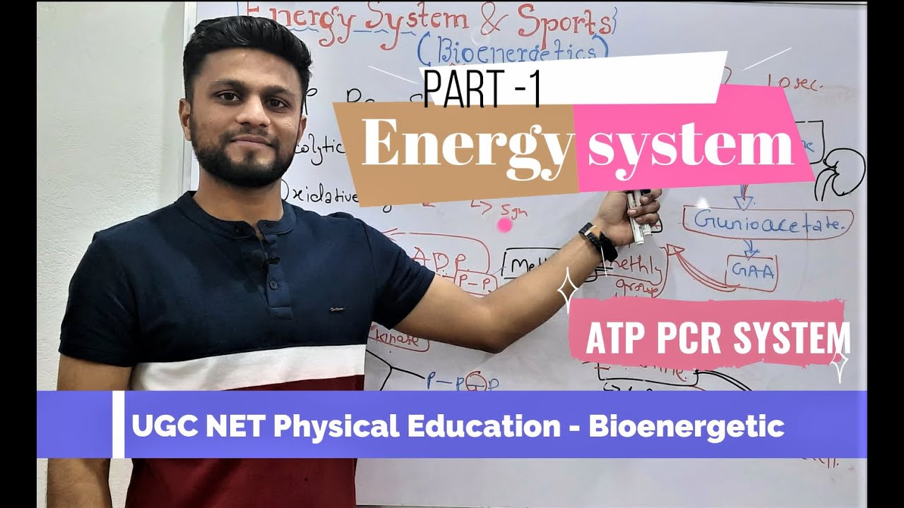 Energy System PART 1- ATP PCR System, Biochemical aspects of exercise ...