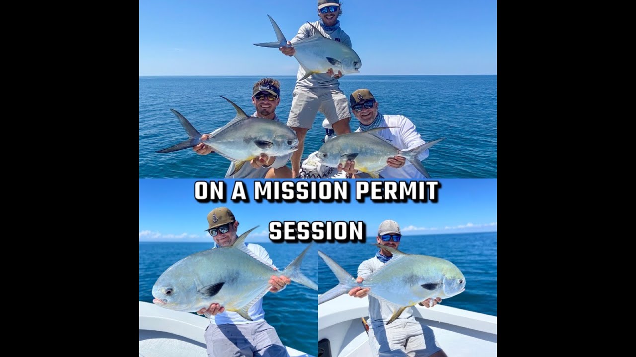 On a Mission Permit Session. Sight casting Permit in the Gulf Of Mexico ...