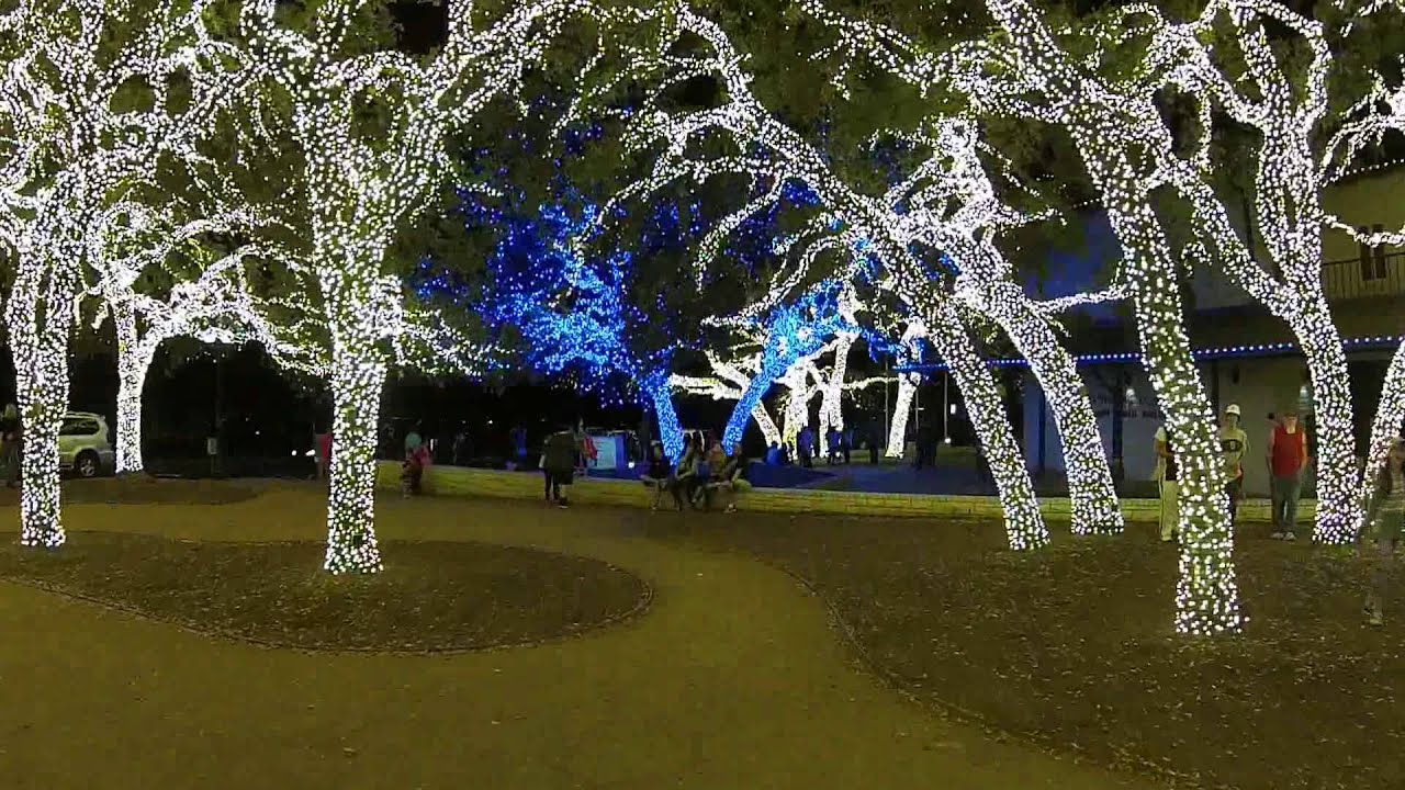 PEC Christmas Lights and Downtown Johnson City - YouTube