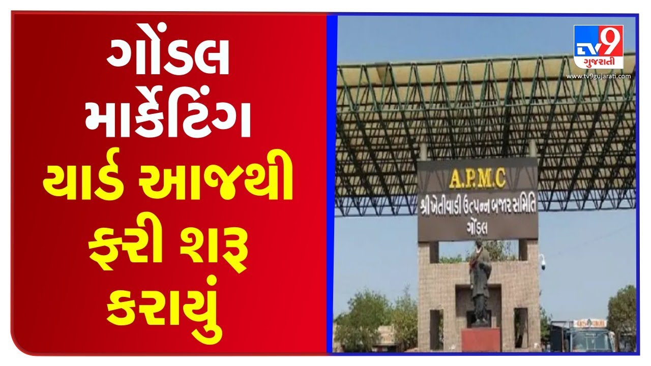 Rajkot: Gondal APMC opens up after 20 days, auction process resumes | TV9News - YouTube