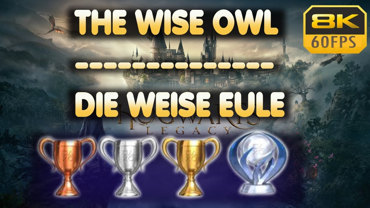 Hogwarts Legacy | The Wise Owl | Trophy | Achievement Guide - YouTube