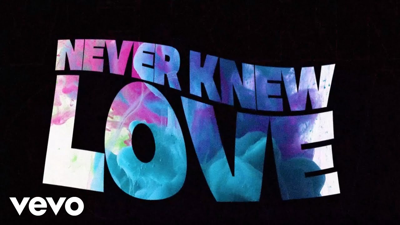 Charles Jenkins & Fellowship Chicago - Never Knew Love (Lyric Video ...