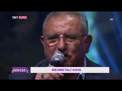 #dengbej Usta Dengbêj TRT Kurdî'de Gönülleri Sızlatıyor / Dengbêj Mehmet Ali Kaya